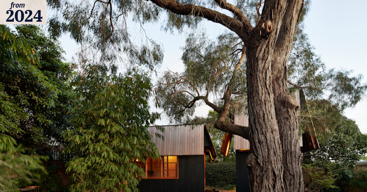 Robyn Boyd house to the rescue