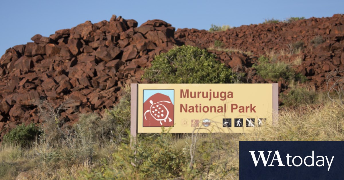 Burrup Peninsula, Murujuga: Western Australian rock art expert scolds ...