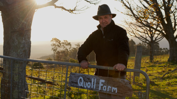 Meet the filmmaker who’s devoting his life to save native quolls