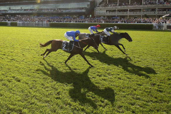 Hitotsu to Japan: Why Australia’s star horses are going global