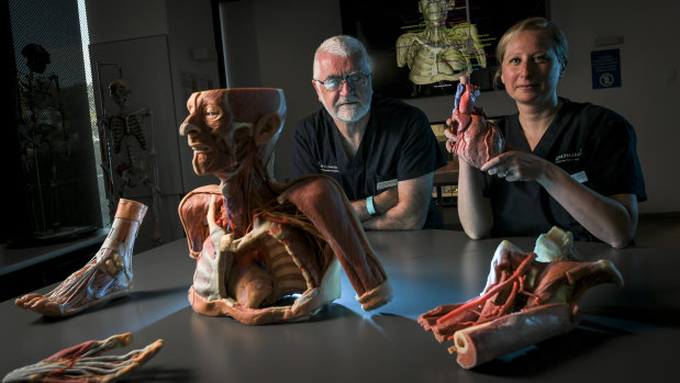 Buster, the perfect human made of plastic, is the future of anatomy