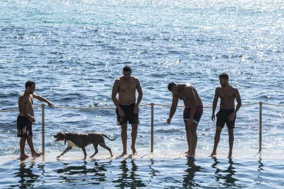 Sydney hot weather: Sydney’s CBD, east braces for weather as hot as the ...