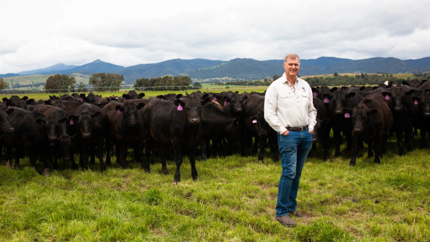 Cattle industry eyes on China as mad cow cloud hangs over Brazil