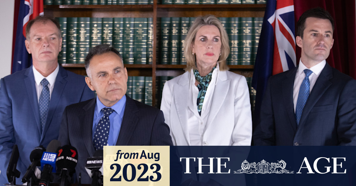Victorian politics: Angry Liberals to thrash out leadership team’s ...