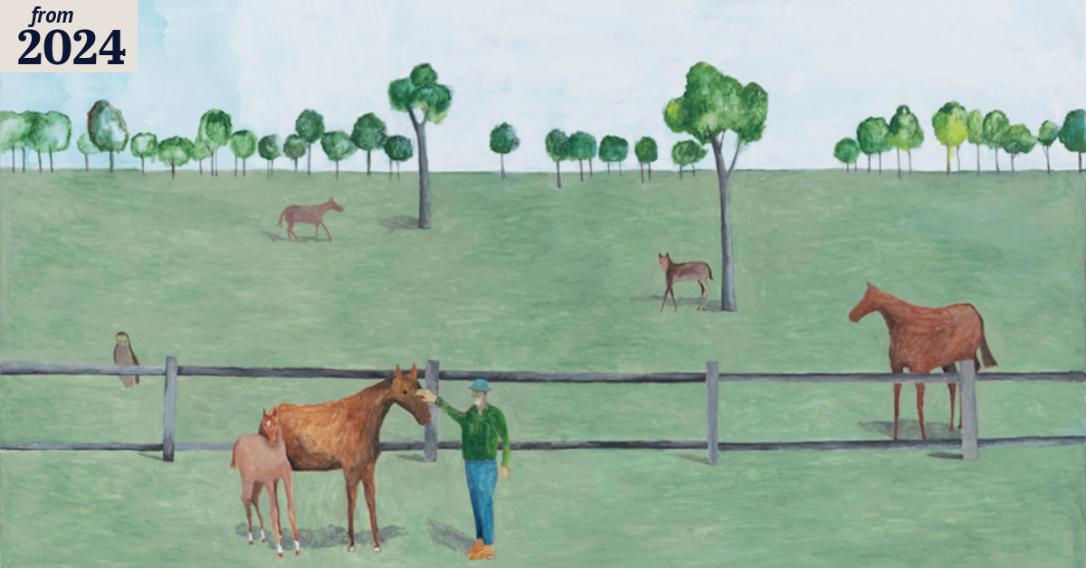 Darling Portrait prize 2024 winners announced