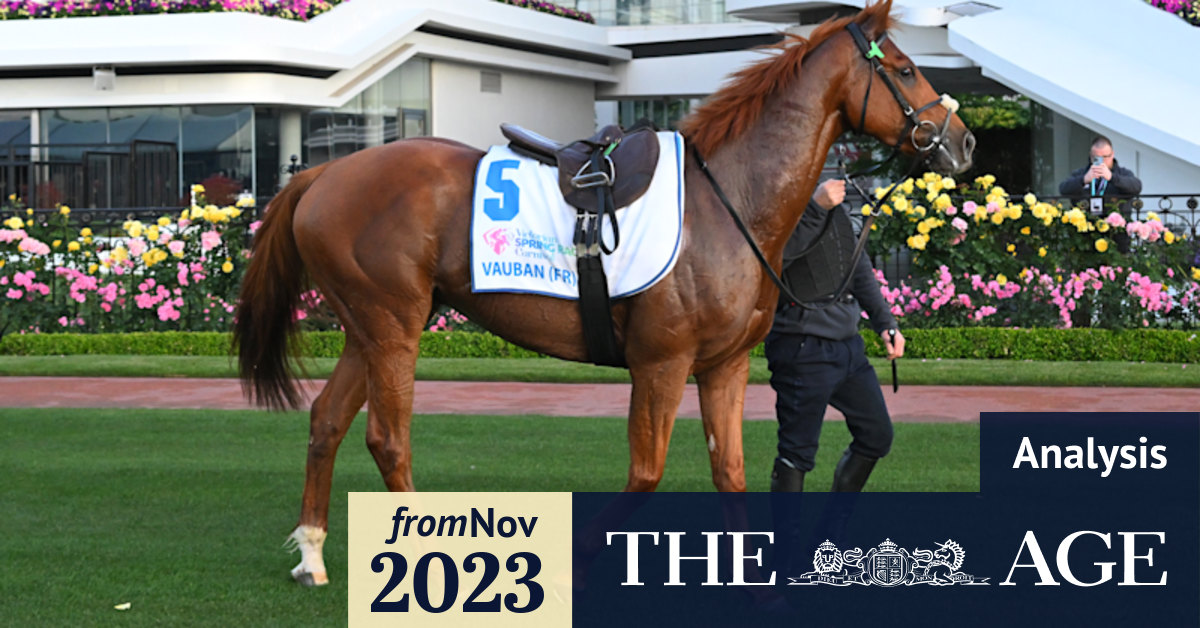 Melbourne Cup 2023: How to read the Cup form, and the five best bets ...