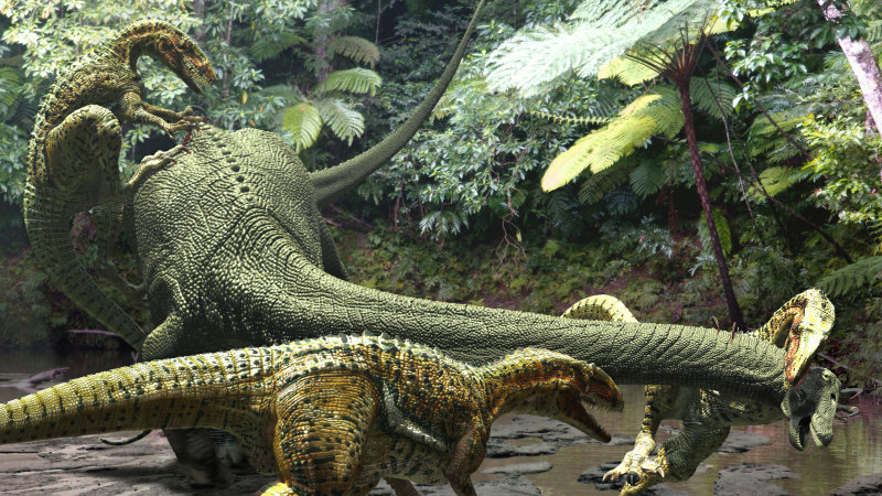 Largest Australian carnivorous dinosaur found in Queensland
