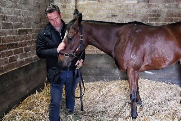 Doncaster Mile, The Championships: Adrian Bott hoping Converge can ...