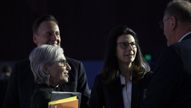 New Telstra director Maxine Brenner hit with 17pc protest vote