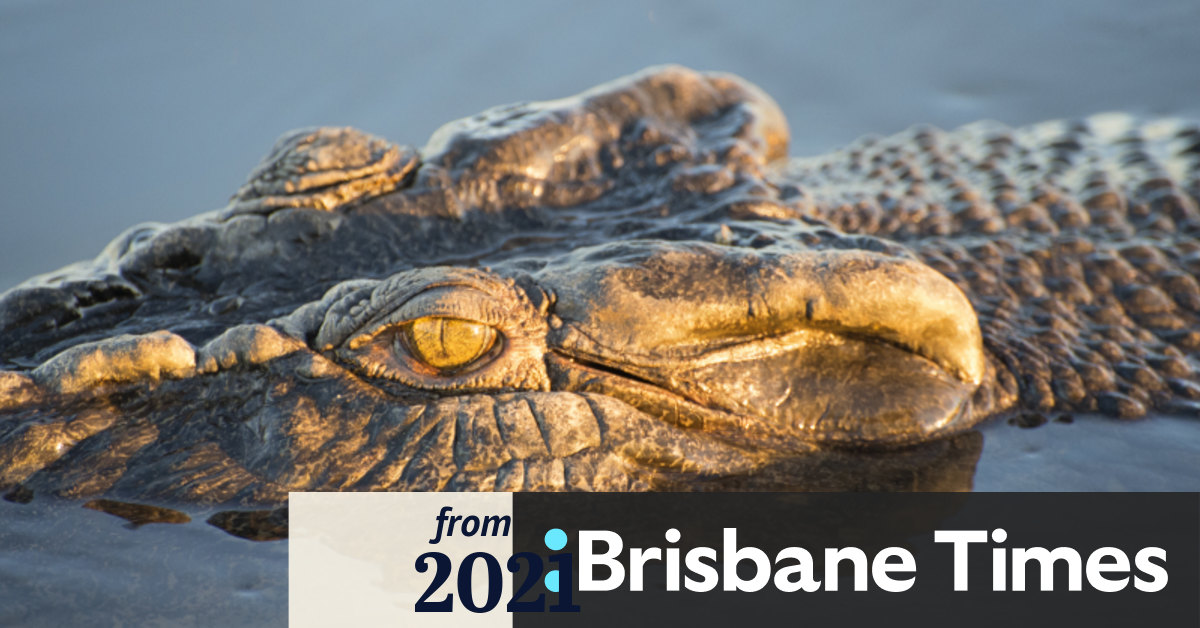 Soldiers seriously mauled in far north Queensland croc attack