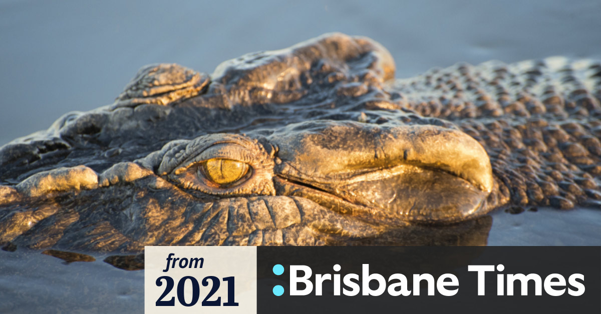 Soldiers seriously mauled in far north Queensland croc attack