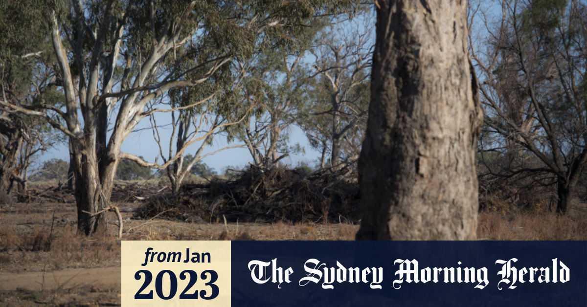 Land clearing, biodiversity loss cause by NSW’s native vegetation laws