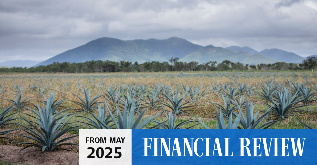 Top Shelf International lender Longreach sidesteps $30m approach for ...