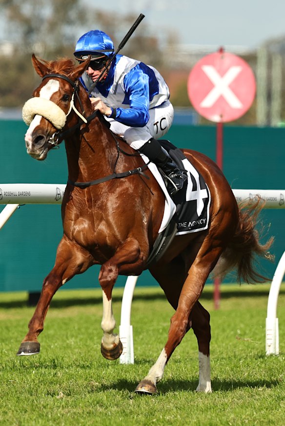 Pride, Gibbons lead the way as Estadio Mestalla scores stakes boilover