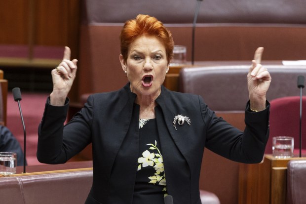 Pauline Hanson helping drown out Voice to parliament case