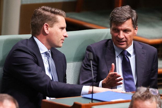 Liberal leadership: Andrew Hastie and Angus Taylor ahead of Sussan Ley ...