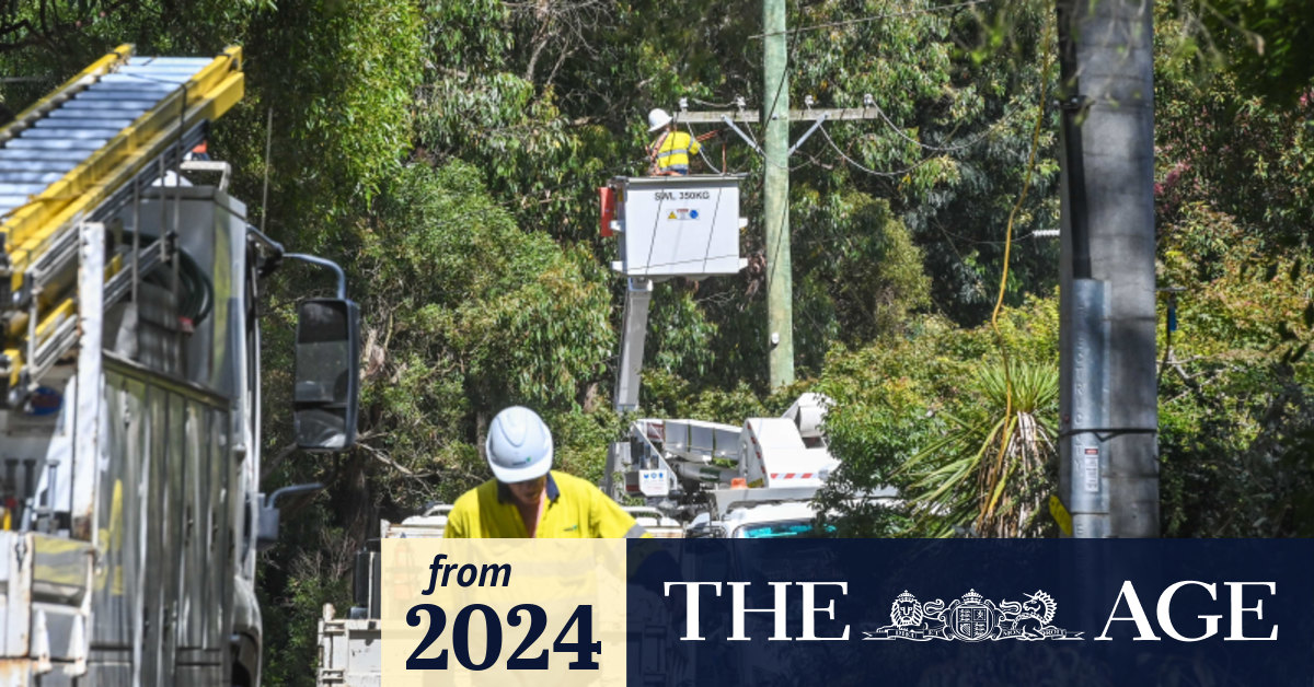 Victoria power outage: Energy Minister Lily D’Ambrosio slams Ausnet for ...
