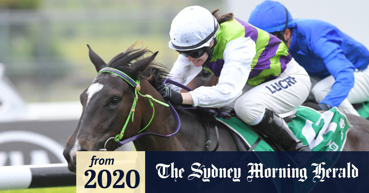 Joe Cleary happy with heavy Country Championships heat for Girls Are Ready