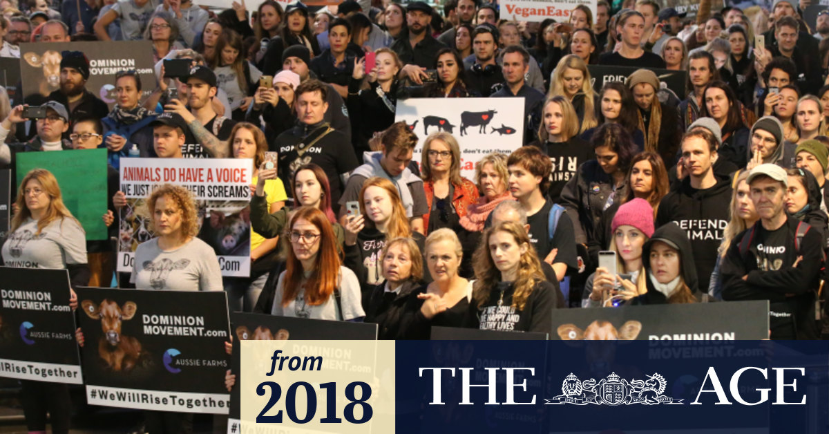 Animal rights activists rally in Melbourne CBD