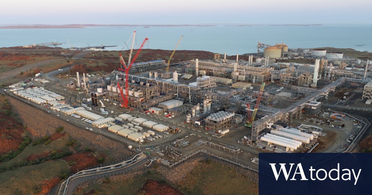 Doctors for the Environment Australia lay out arguments in NOPSEMA approval of Woodside’s ...