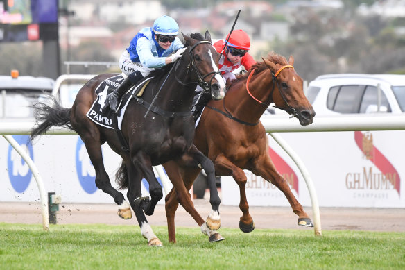 Where there’s a Will: Younger Freedman on track to join group 1 dynasty