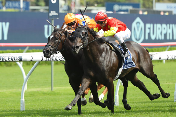 Randwick races: Ruthin swaps Royal Ascot for Royal Randwick on ...