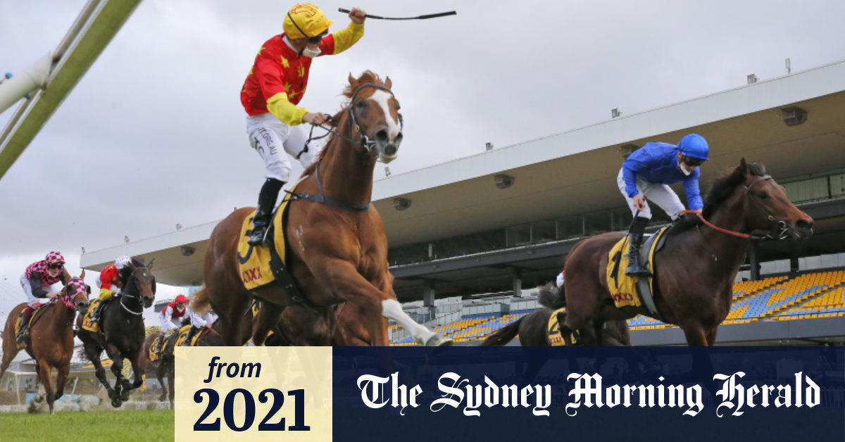 Field of dreams for Henry, Tulloch Lodge and In The Congo