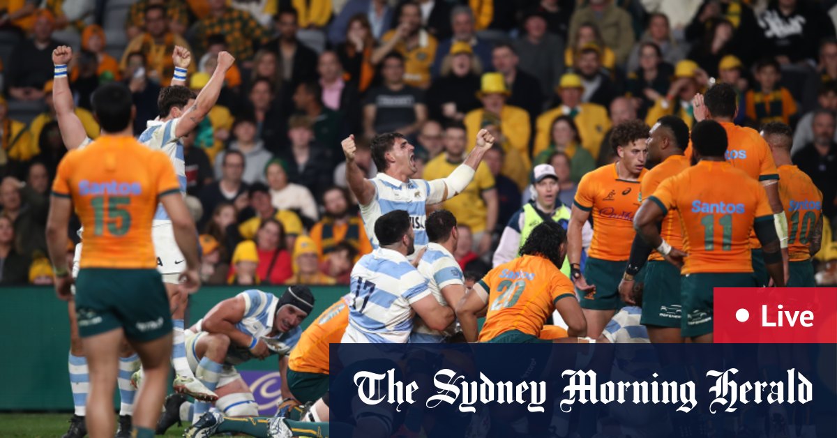 Rugby Championship LIVE: South Africa Springboks vs New Zealand All ...