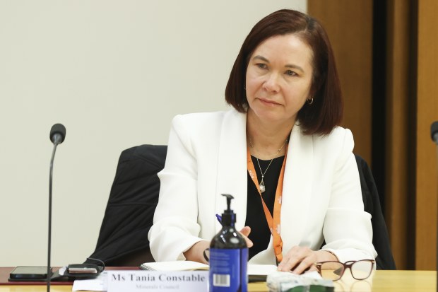 Election 2022: Mining lobby wants ‘total commitment’ to net zero ...