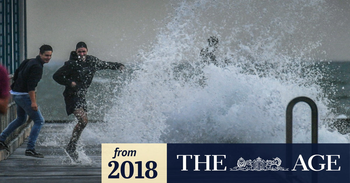 Brace yourself, wild winds are set to wallop Victoria