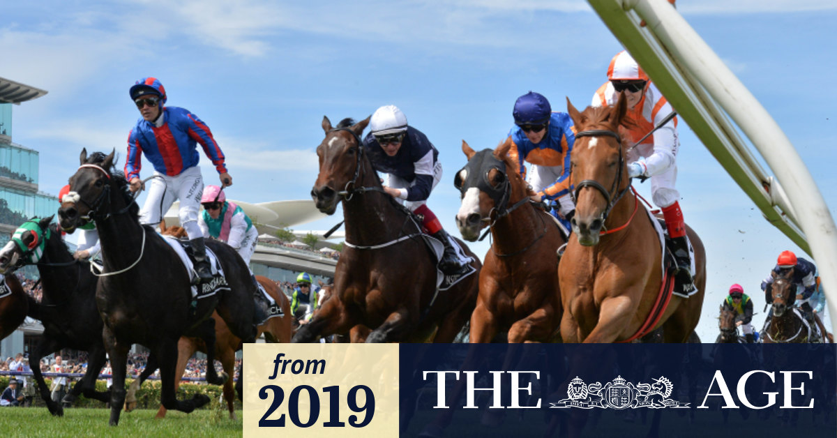 'Incredibly courageous': How Williams won the Melbourne Cup