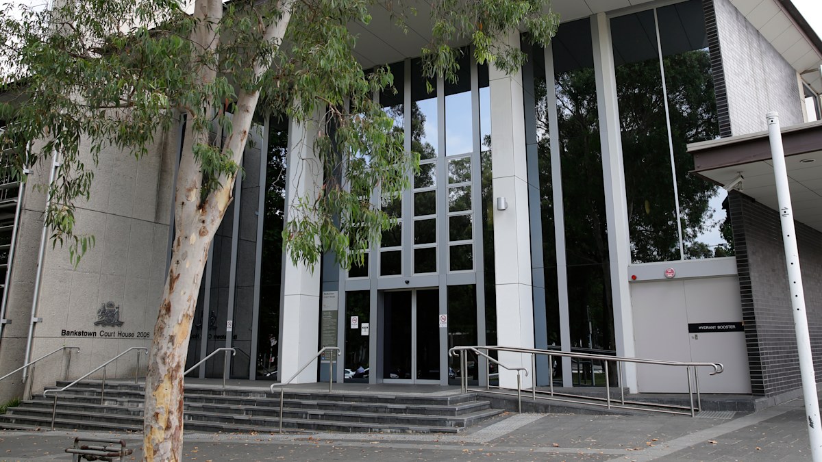 Tran Trung Hieu Nguyen: Jail for swindler caught literally catfishing ...