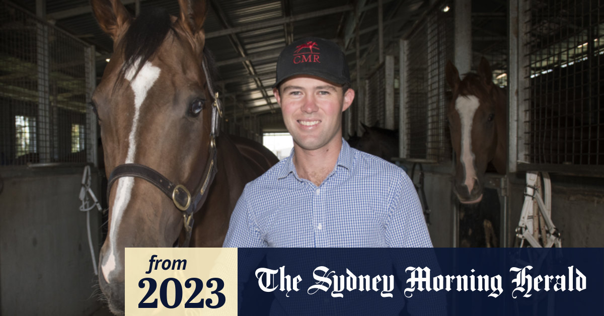 Tamworth trainers target Armidale before showcase showdown