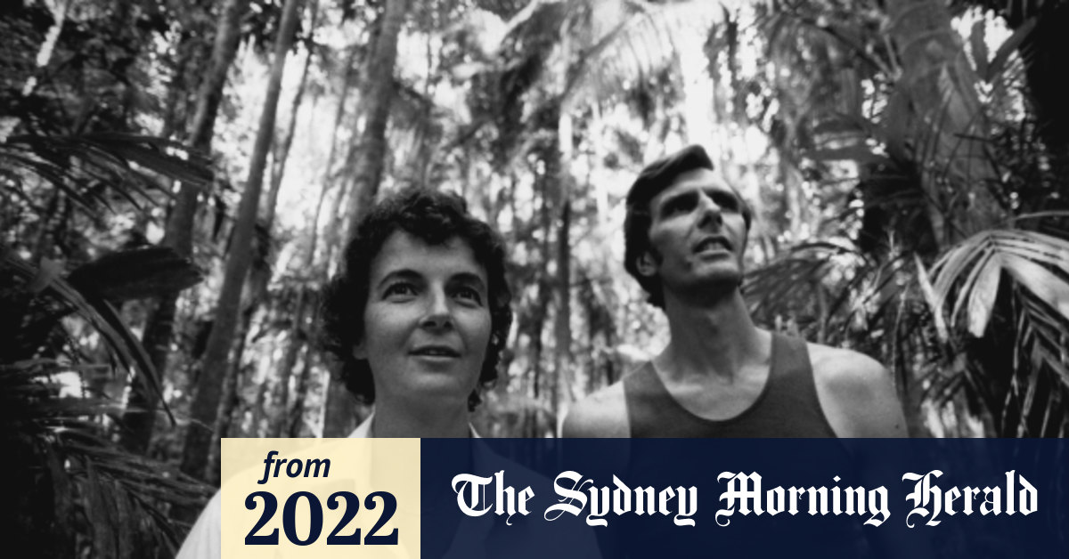 From the Archives, 1982: Conservationists win the rainforest battle