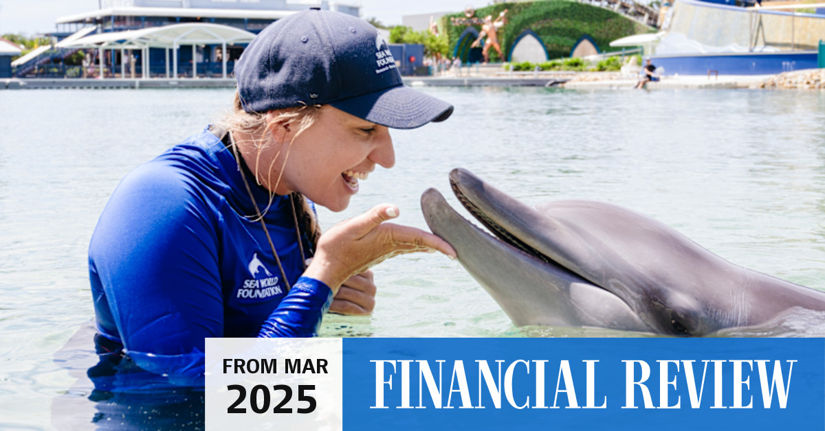 Cyclone Alfred aftermath: Sea World dolphins, Gold Coast and Queensland ...