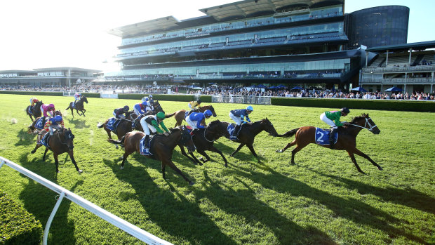 Race-by-race preview and tips for Randwick on Saturday