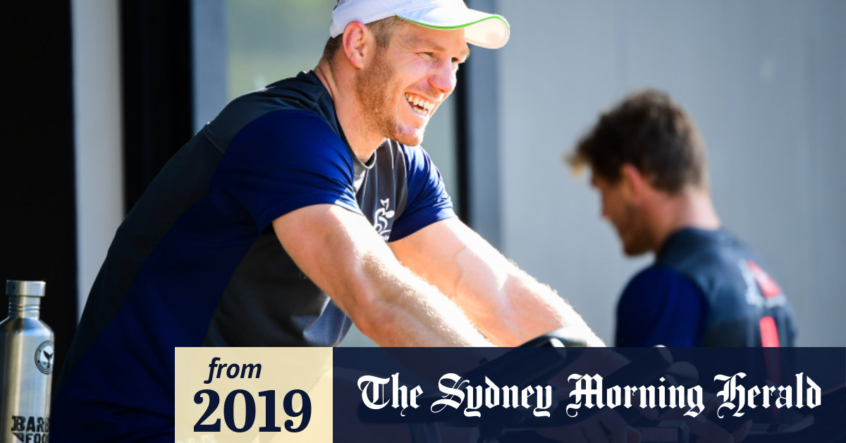 David Pocock a chance of Bledisloe Cup return