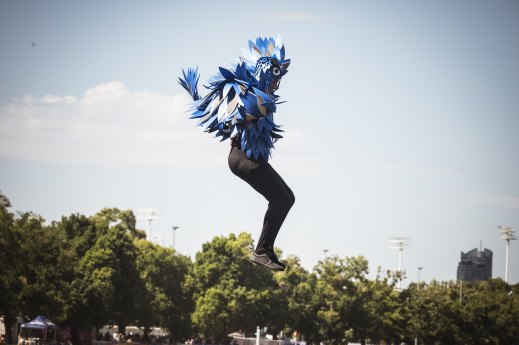 Moomba Birdman Rally entrant gets a little help from aerospace experts