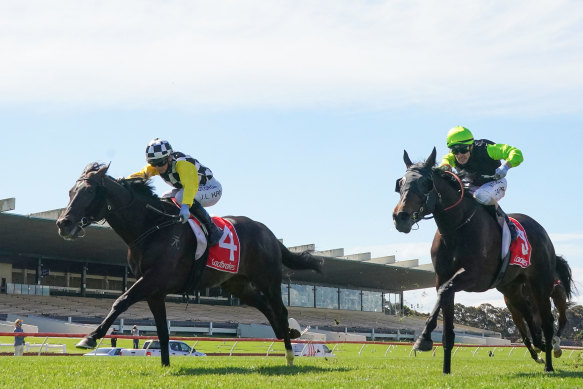 Check mates: Cups legacy of Bart and Dato rides on with Carif