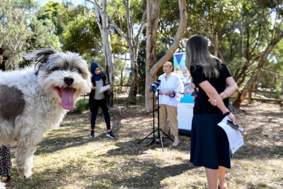 Environment Minister Lily D’Ambrosio unveils $15m plan for new parks in ...