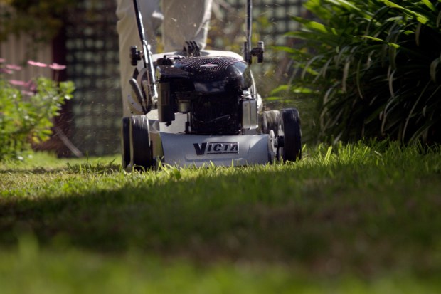 Victa lawnmower brand hits the block via 333 Capital