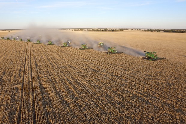 Lawson Grains rejigs Riverina holdings with $40m listing