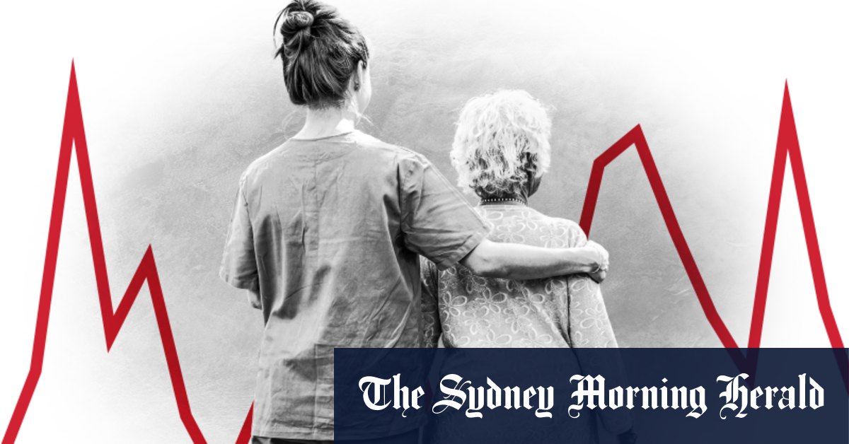 Tracey Leah Salmon: Carer’s spending spree using credit card stolen ...