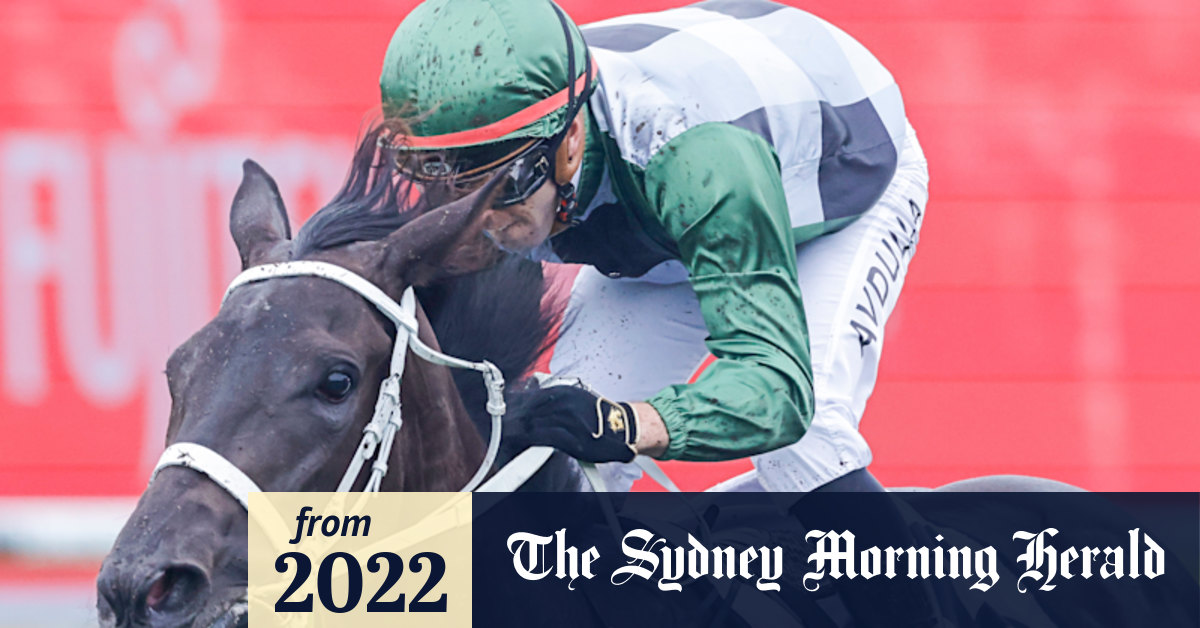 Sydney spring racing 2022: Chris Waller chasing Epsom, Metropolitan and ...