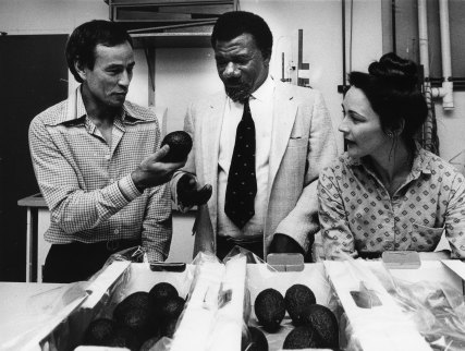 Ron Willis, pioneering food scientist, dies