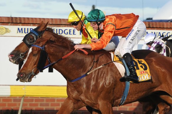 Race-by-race preview and tips for Thursday meeting at Wagga