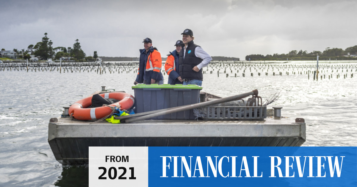 ‘Time is right’ for oyster business float