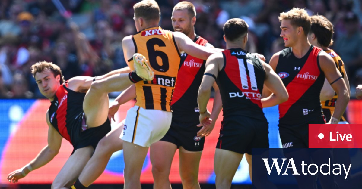 AFL 2024 spherical one LIVE updates: Melbourne v Western Bulldogs ...