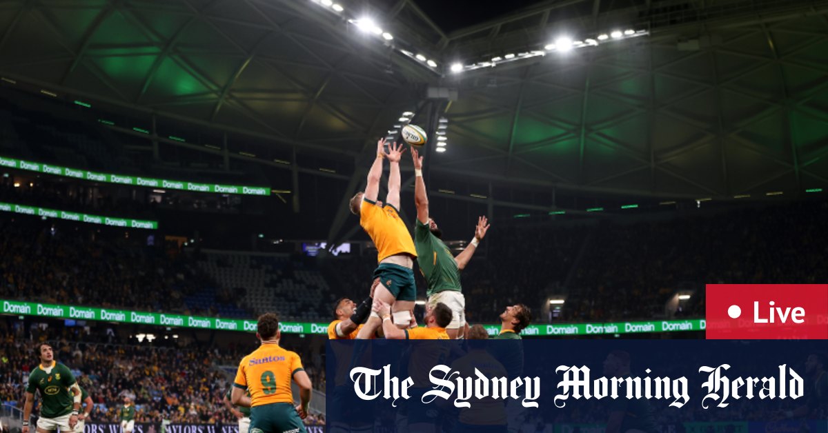 Rugby Championship LIVE updates: Wallabies v Springboks; All Blacks v ...