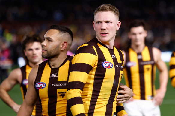 AFL Finals 2024: How the Hawthorn Hawks lost the game and won the season